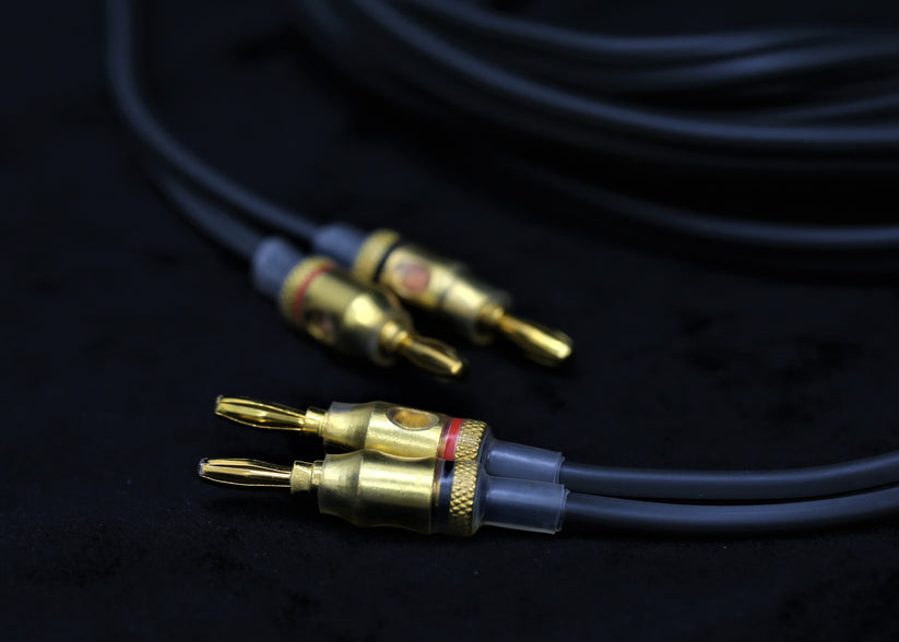 Audioquest G2 Speaker Cable – Ramble Audio